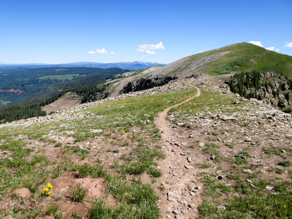 The Best Durango Mountain Biking Trails for 2025